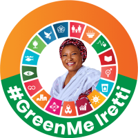 Ireti Heebah Kingibe – Senate Representative for The Federal Capital ...